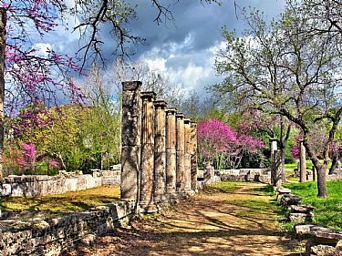 Thiamis Tours Τουριστικό γραφείο