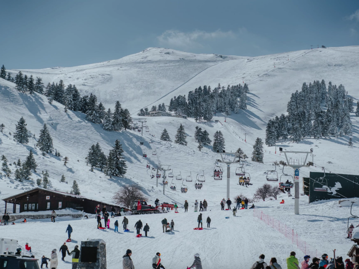 Thiamis Tours Τουριστικό γραφείο