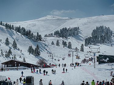 Thiamis Tours Τουριστικό γραφείο